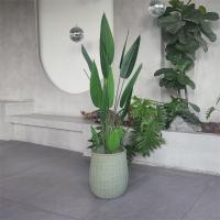China Frost Resistant Fiber Clay Planter D435H500 for Camping Burners and Charcoal Oven for sale