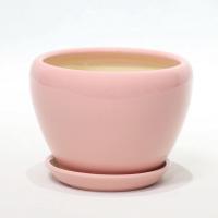 China Easy To Clean Ceramic Pots For Plants Durable And Stylish Options for sale