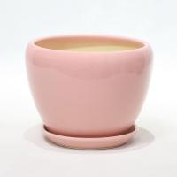 China Easy To Clean Ceramic Pots For Plants Durable And Stylish Options for sale