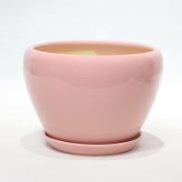 China Easy To Clean Ceramic Pots For Plants Durable And Stylish Options for sale