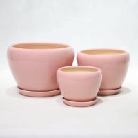 China Easy To Clean Ceramic Pots For Plants Durable And Stylish Options for sale