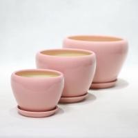 China Easy To Clean Ceramic Pots For Plants Durable And Stylish Options for sale