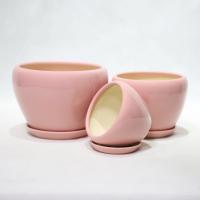 China Easy To Clean Ceramic Pots For Plants Durable And Stylish Options for sale