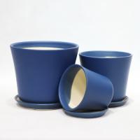 China Unique Ceramic Pots For Distinctive And Eye-catching Plant Collection for sale