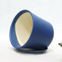 China Unique Ceramic Pots For Distinctive And Eye-catching Plant Collection for sale