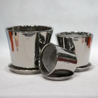 China Unique Ceramic Pots For Distinctive And Eye-catching Plant Collection for sale