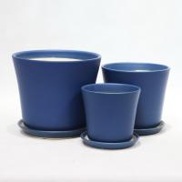 China Unique Ceramic Pots For Distinctive And Eye-catching Plant Collection for sale