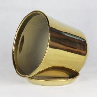 China Unique Ceramic Pots For Distinctive And Eye-catching Plant Collection for sale