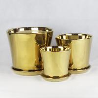 China Unique Ceramic Pots For Distinctive And Eye-catching Plant Collection for sale