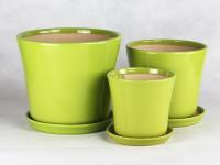 China Unique Ceramic Pots For Distinctive And Eye-catching Plant Collection for sale