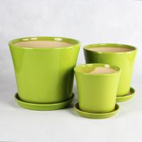 China Unique Ceramic Pots For Distinctive And Eye-catching Plant Collection for sale