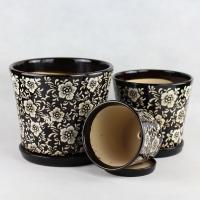 China Unique Ceramic Pots For Distinctive And Eye-catching Plant Collection for sale