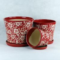 China Unique Ceramic Pots For Distinctive And Eye-catching Plant Collection for sale