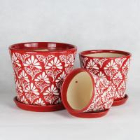 China Unique Ceramic Pots For Distinctive And Eye-catching Plant Collection for sale