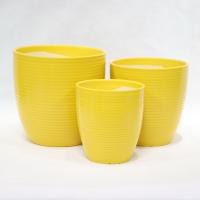 China Stunning Plant Display With Our Ceramic Pots Various Sizes Available Ceramic Flower Pots for sale