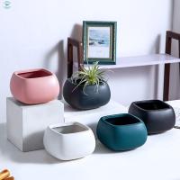 China Customizable Ceramic Pots To Meet Your Specific Planting Requirements for sale