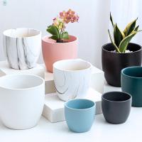 China Customizable Ceramic Pots To Meet Your Specific Planting Requirements for sale