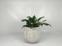 China Fiber Clay Planter D440x390mm Frost Resistant Round Custom Color Indoor Outdoor for sale