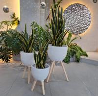 China Hand Carved Fiber Clay Planter Durable Lightweight 2 Sizes Custom Design for sale