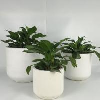 China Wholesale Fiber Clay Planter Round D440x390mm Powder Coated Modern Plant Pot for sale