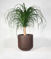 China Wholesale Fiber Clay Planter Round D440x390mm Powder Coated Modern Plant Pot for sale
