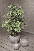 China Round Fiber Cement Planter 350mm Durable Waterproof Fireproof for Indoor Outdoor Garden for sale