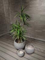 China Round Fiber Cement Planter 350mm Durable Waterproof Fireproof for Indoor Outdoor Garden for sale