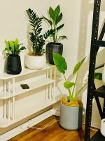 China Quangui Powder Coated Fiber Clay Planter Round D440x390mm Modern Flower Pot for sale