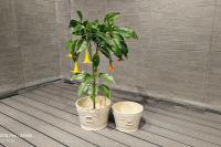 China Frost Resistant Fiber Clay Planter Round Hand Carved Durable 350x240mm for Outdoor Garden for sale