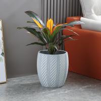China Chic Fiber Clay Planter Elevate Your Plant Display with Minimalist Design for sale