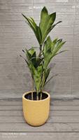 China Quangui Fiber Clay Planter Round 340mm Textured Surface Indoor Decoration No Drainage Holes for sale