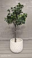 China White Round Fiber Clay Planter 5-6 Year Outdoor Lifespan Garden Landscaping for sale