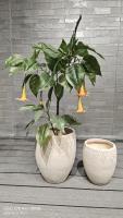 China Fiber Clay Planter Lightweight Durable 5-6 Years Outdoor 7-8 Years Indoor Custom Color for sale