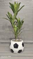 China Fiber Clay Planter Lightweight Durable Weatherproof 5-6 Years Outdoor Lifespan Custom Color for sale