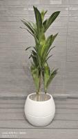 China Fiber Clay Planter 90 MPa Bending Strength 5-6 Years Outdoor Durable Lightweight Custom Color for sale