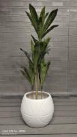 China Fiber Clay Planter 5-6 Years Outdoor Durable Lightweight Hand Carved Modern Decorative Pot for sale