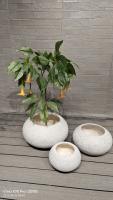 China Fiber Clay Planter Durable Round Flower Pot 5-6 Years Outdoor Lifespan Custom Color for sale
