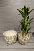 China Fiber Clay Planter Round Natural Stone Texture 2 Sizes Custom Color Hand Carved for sale