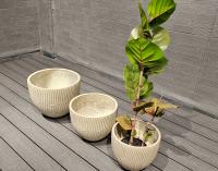 China Fiber Clay Planter Round Beige 5-6 Year Outdoor Lifespan Custom Color Hand Carved for sale