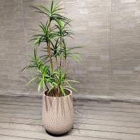 China Light Grayish White Fiber Clay Planter Round Geometric Pattern Durable 5-6 Years Outdoor for sale