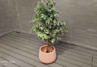 China Fiber Clay Planter Round Outdoor Decorative Durable Lightweight 5-6 Years Lifespan for sale
