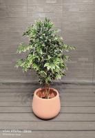 China Fiber Clay Planter Round Outdoor Decorative Durable Lightweight 5-6 Years Lifespan for sale