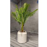 China Light Beige Fiber Clay Planter Straight Cylinder Outdoor Architectural Landscaping 5-6 Years for sale