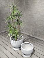 China Light Grey Round Fiber Clay Planter with Pedestal Base for Indoor Outdoor Use 5-6 Year Lifespan for sale