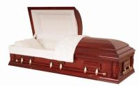 China SWC11 Cherry Wood Casket 82.5×28×23.5 Inches with High Gloss Finish and Almond Velvet Interior for sale