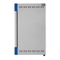 China Large Capacity Vertical Forced Air Drying Oven 125/210L 110V - 220V 50/60 Hz for sale