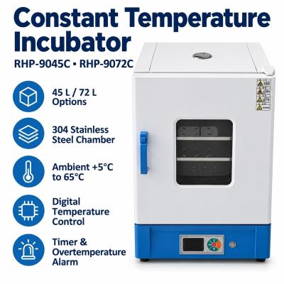 China Forced Air Constant Temperature Incubator Equipment With 304 Stainless Steel Chamber 45/72L for sale