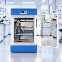 China Constant Temperature Incubator with 304 Stainless Steel Chamber, Upper Control Panel, 125/210/640/1200 L for sale