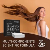 China Customized Shampoo and Conditioner Tablets 9.45×6.3 Inches - Eco-Friendly, Hypoallergenic Hair Care Sheets for Travel for sale