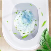 China 9.45x6.3 Inch Quick-Dissolve Toilet Bowl Cleaner Strips - Eco-Friendly & Septic Safe for sale